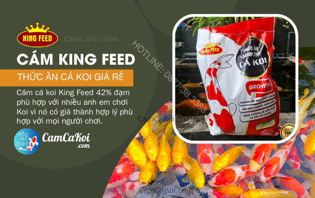 Cám cá koi king feed 42% đạm bao 5kg tăng trưởng nhanh, màu đẹp
